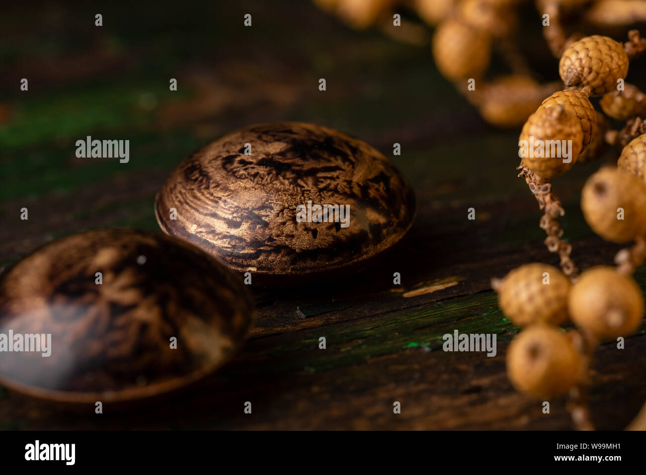 Two Sweet round chocolate candy Stock Photo - Alamy