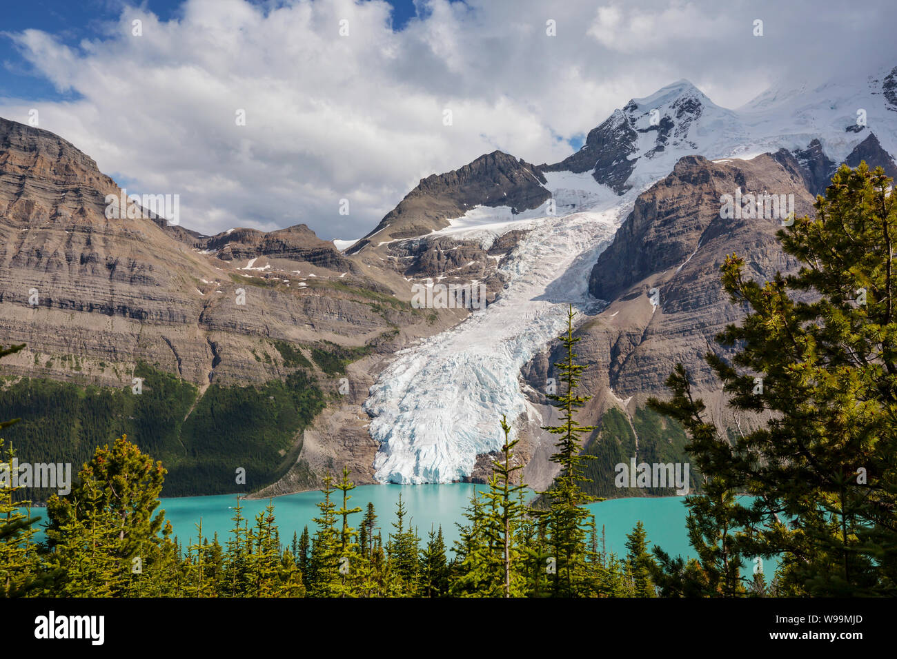 Beautiful Mount Robson in summer season, Canada Stock Photo - Alamy