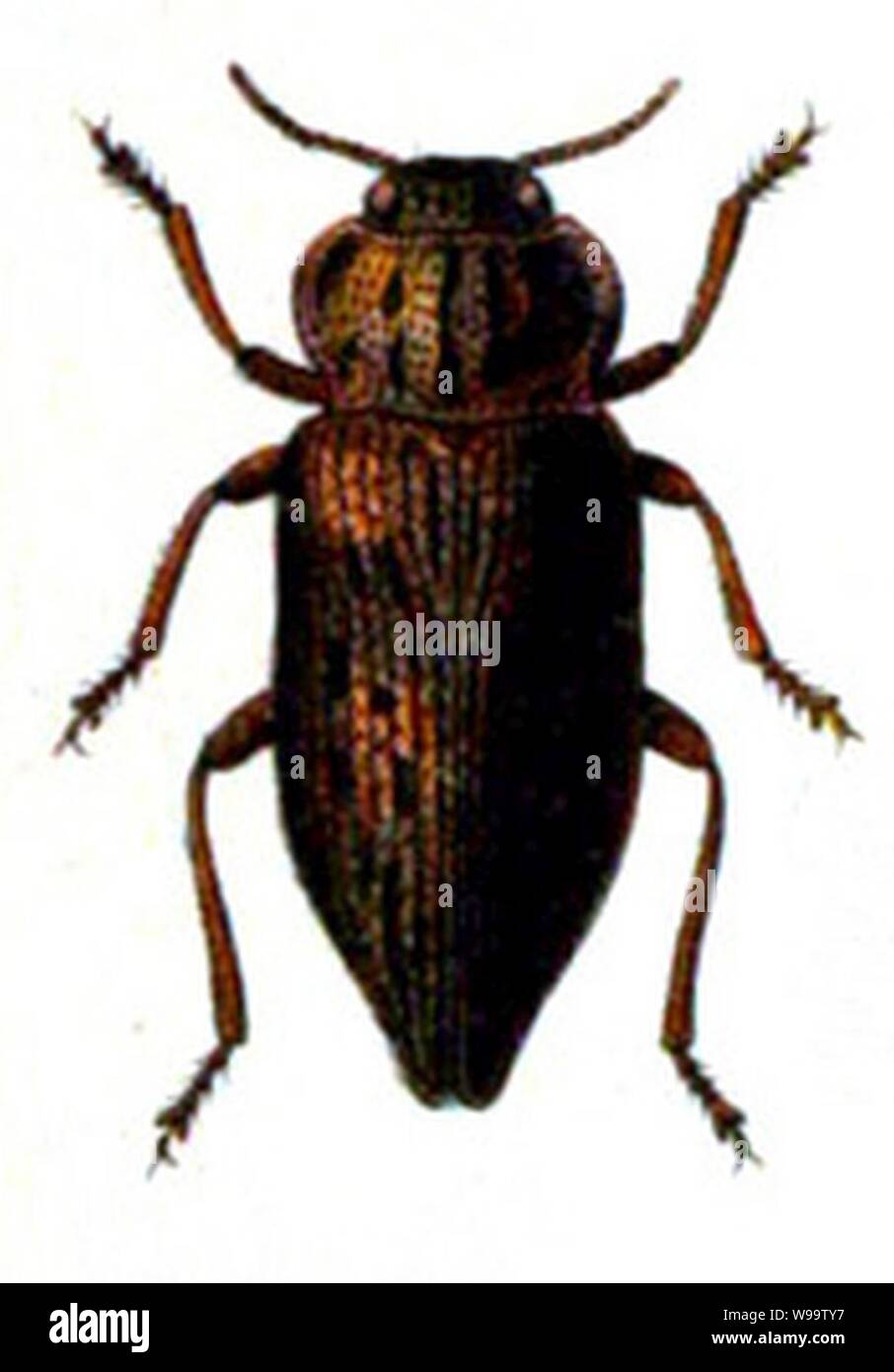 Moesta hi-res stock photography and images - Alamy