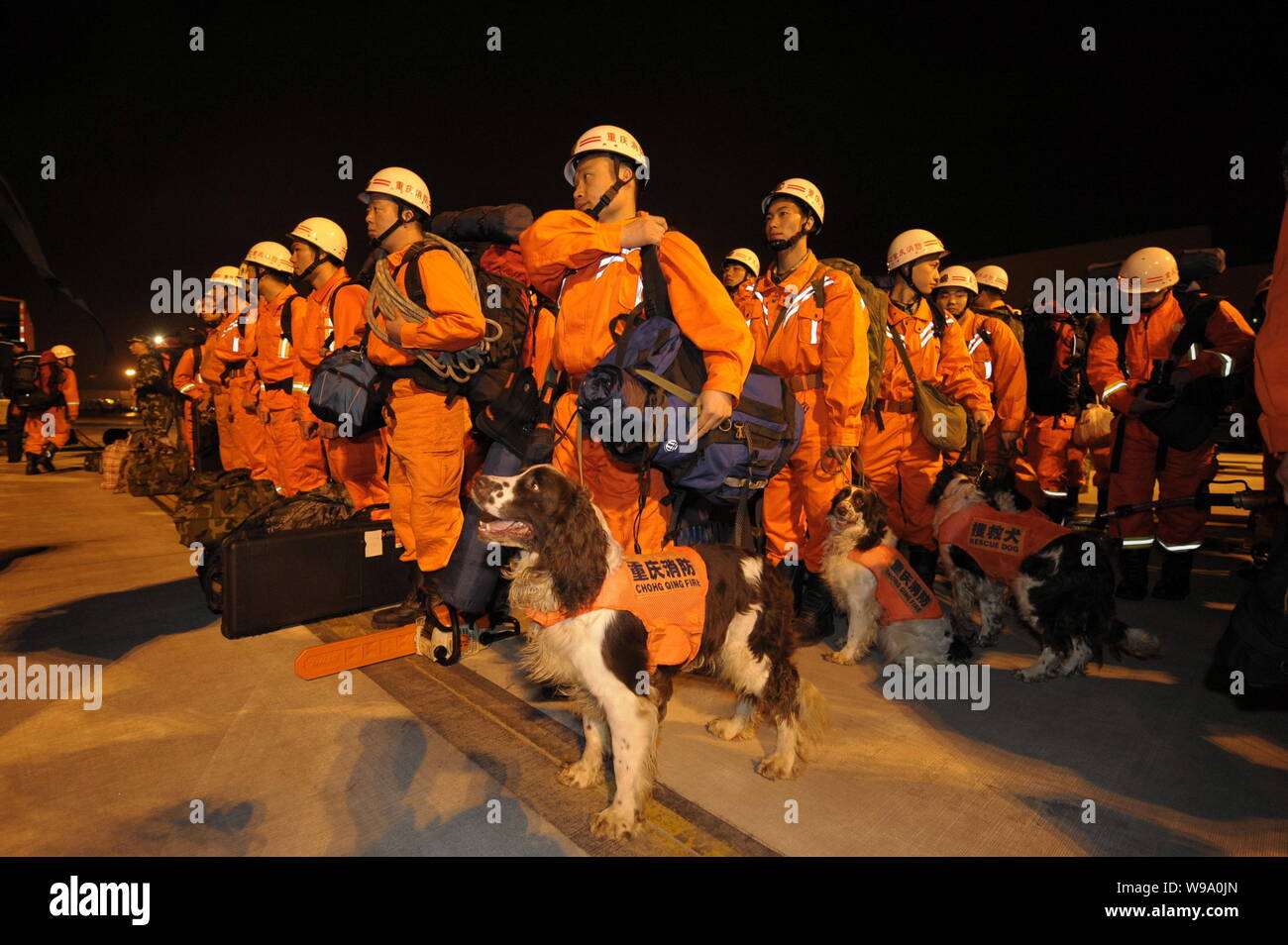 Chinese fire fighters and their rescue dogs gather at the Chongqing ...