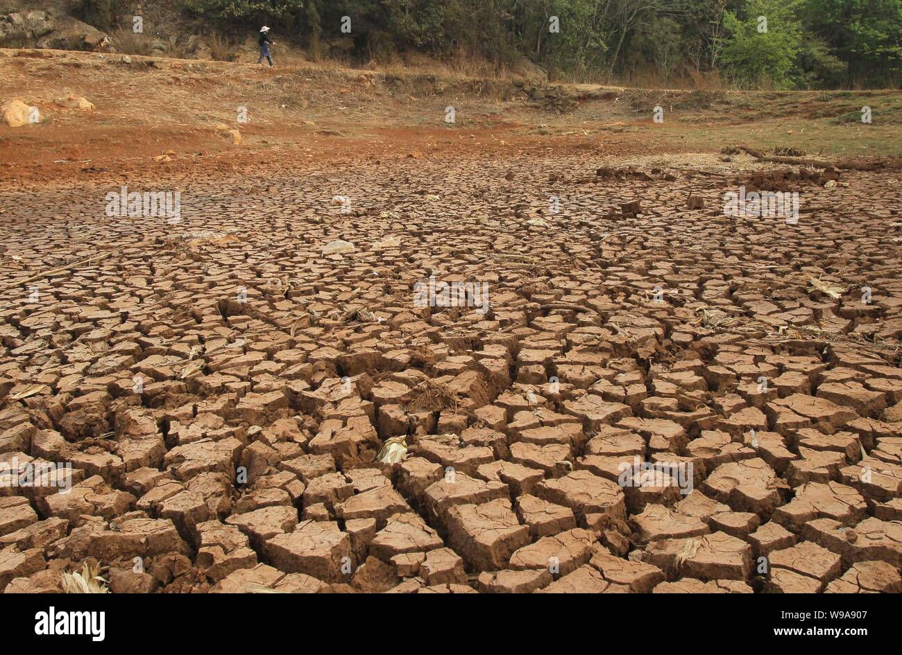 Dried up pond hi-res stock photography and images - Alamy