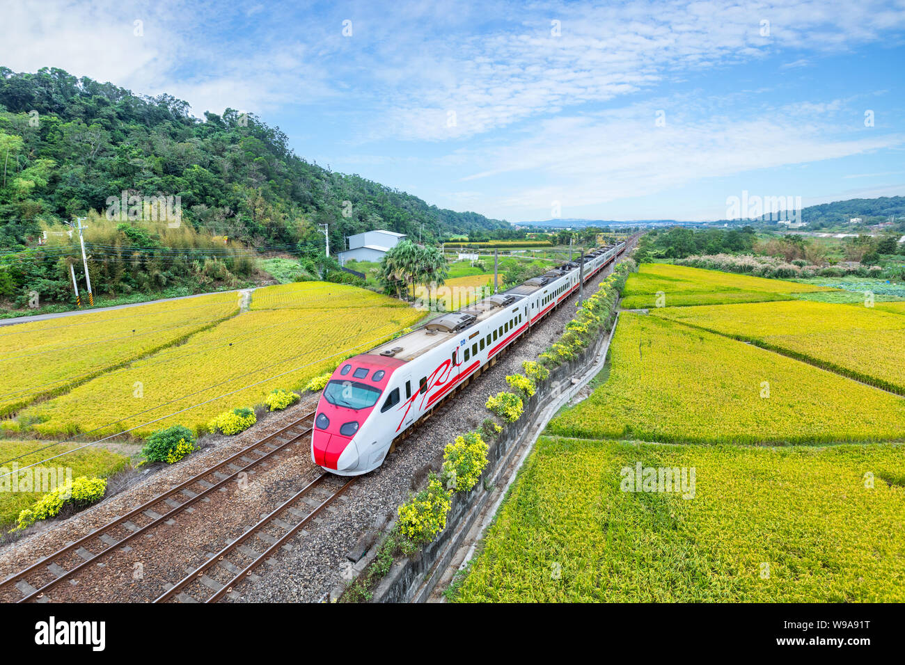 Miaoli, Taiwan - November 12: train on the field in miaoli, taiwan ...