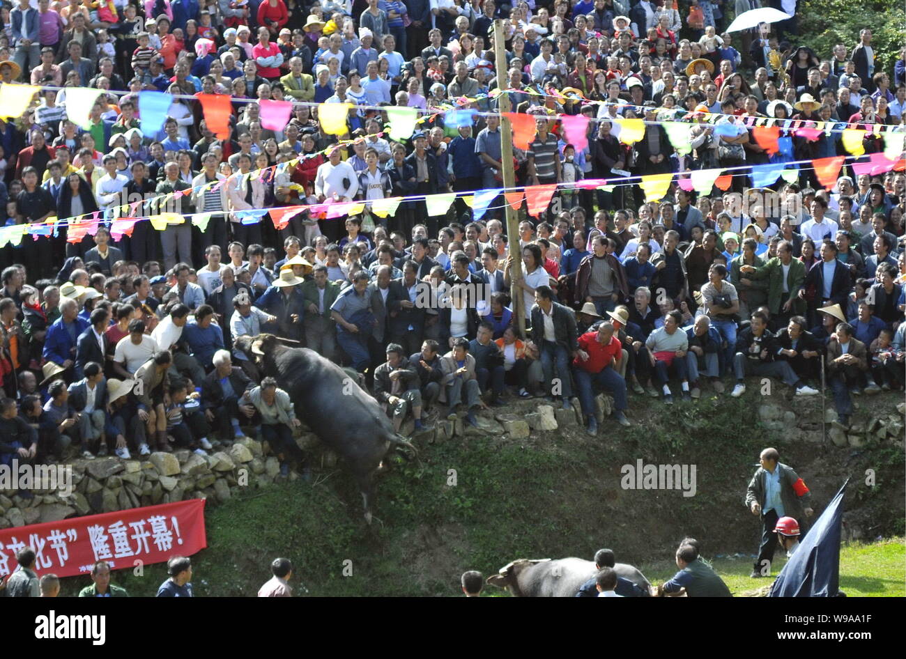 A bull jumps towards the audience as it tries to escape from the attack ...