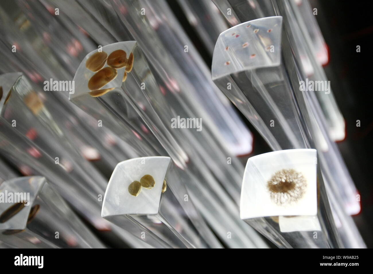 15 rods hi-res stock photography and images - Alamy