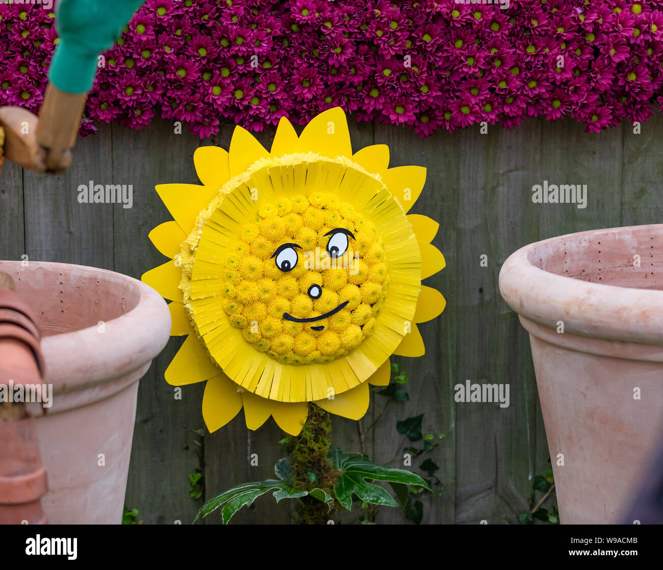 Sunflower face hi-res stock photography and images - Alamy