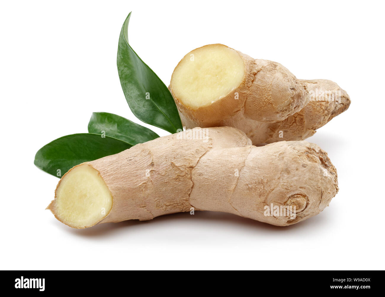 Fresh ginger root with leaves isolated on white background Stock Photo ...