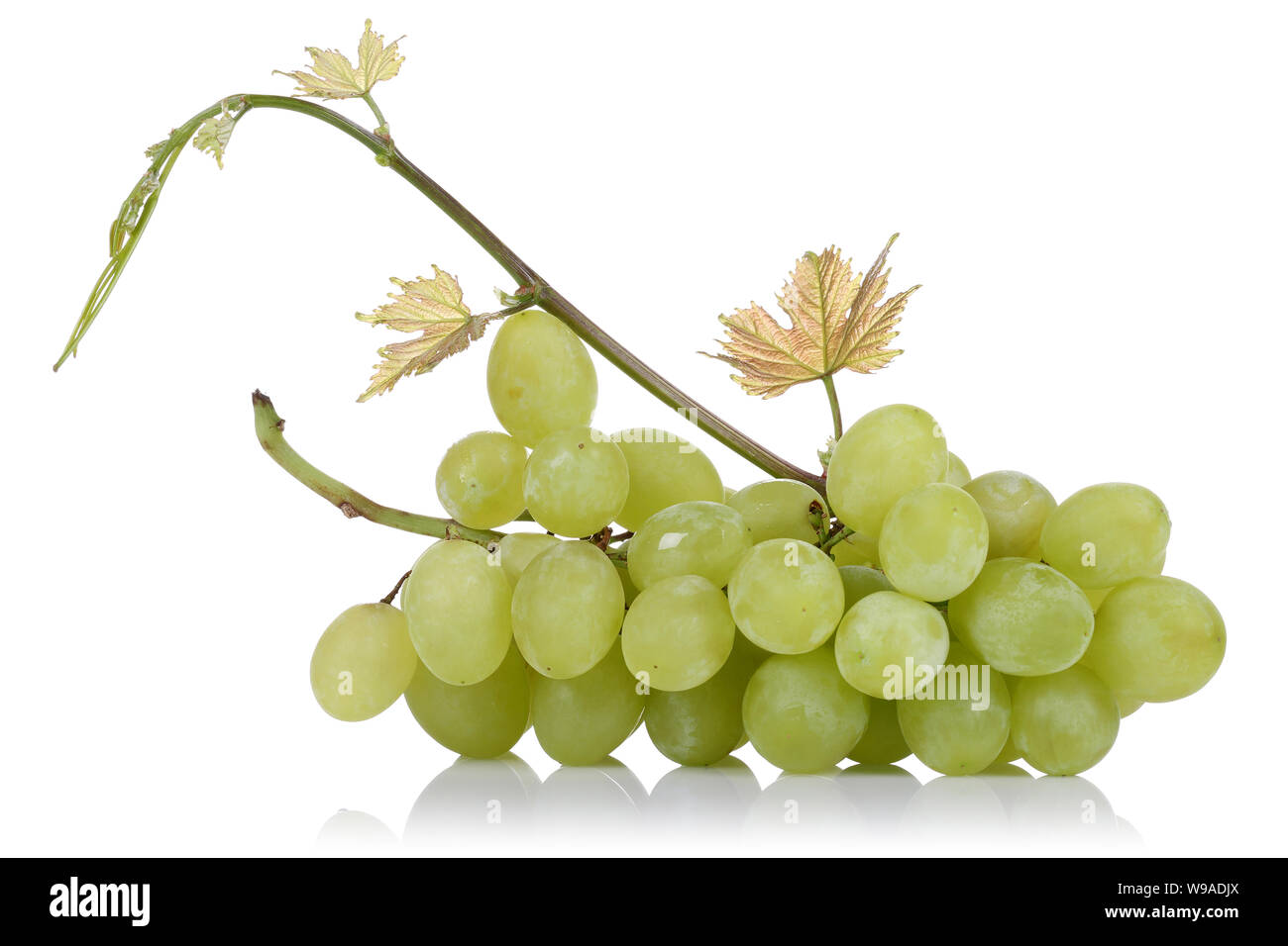 White grape isolated on hi-res stock photography and images - Alamy