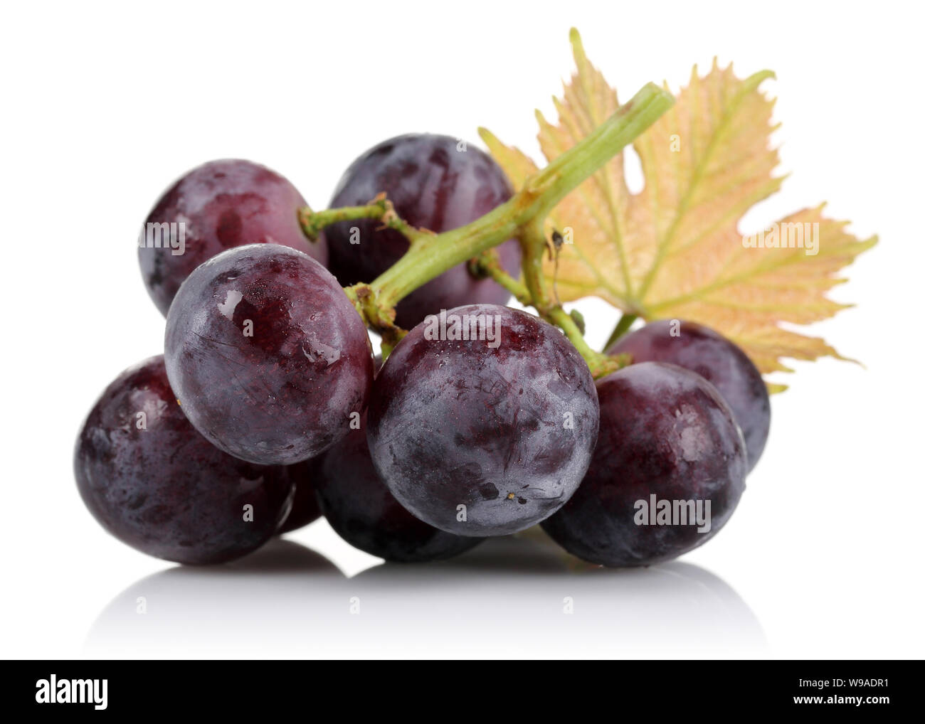 Fresh black grape isolated on white background Stock Photo - Alamy