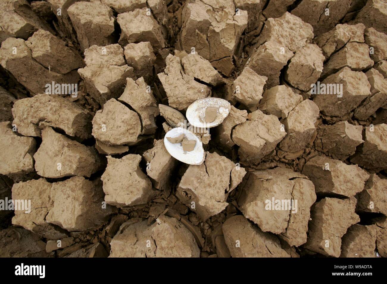 Shells are seen on the cracked ground of a dried-up reservoir during a ...