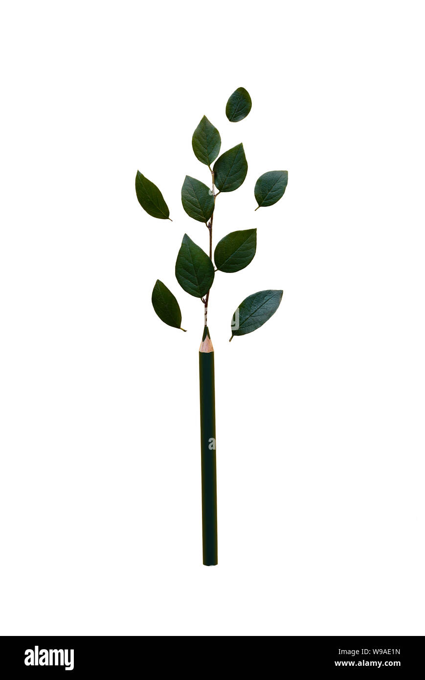 Wooden green pen with leafs showing growth in business and personal ...