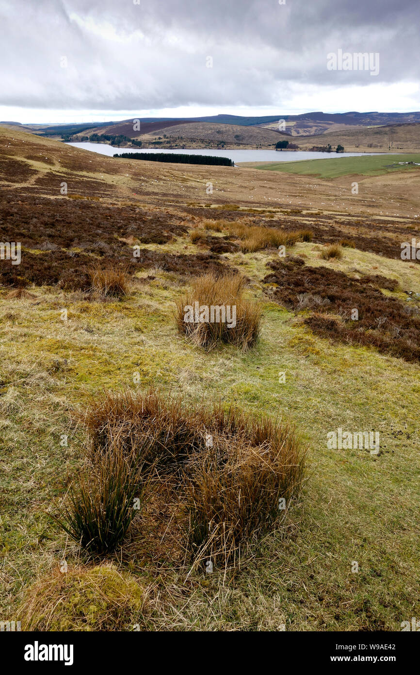 Backwater Reservoir, Angus, Scotland Stock Photo - Alamy