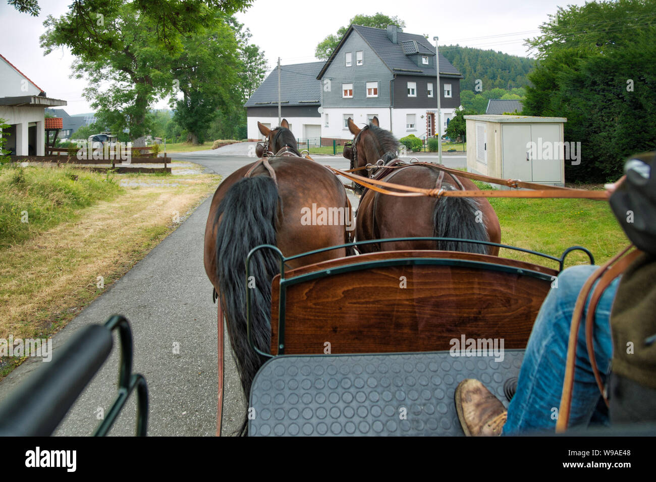 Brown horse pulling carriage hi-res stock photography and images - Alamy