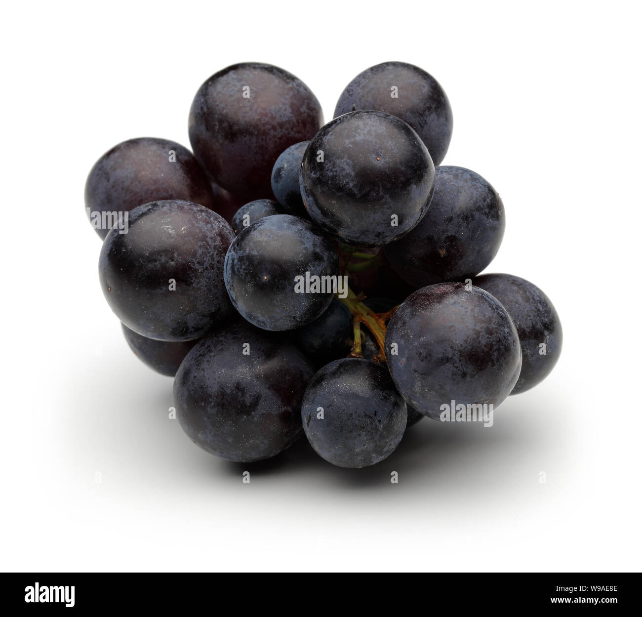 Single Fruits Pictures Grapes