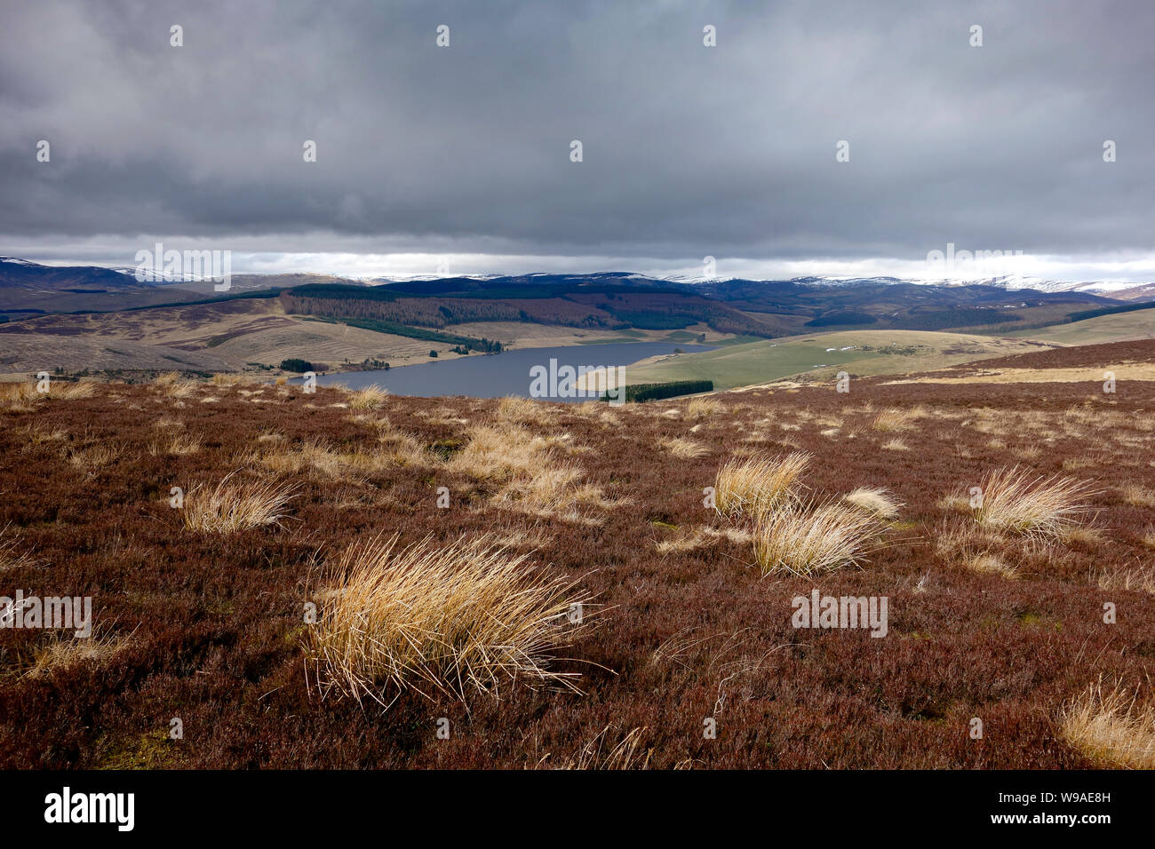 Backwater Reservoir, Angus, Scotland Stock Photo - Alamy