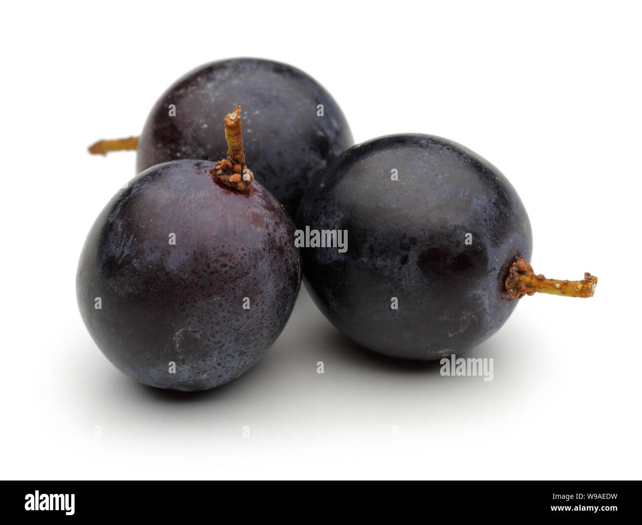 Fresh black grape isolated on white background Stock Photo - Alamy