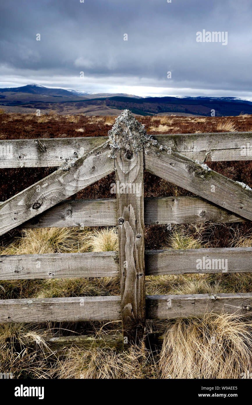 Backwater Reservoir, Angus, Scotland Stock Photo - Alamy