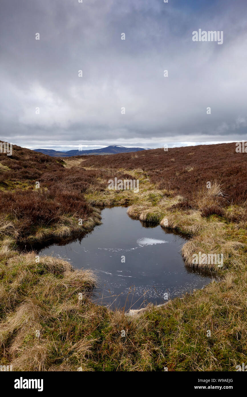Backwater Reservoir, Angus, Scotland Stock Photo - Alamy