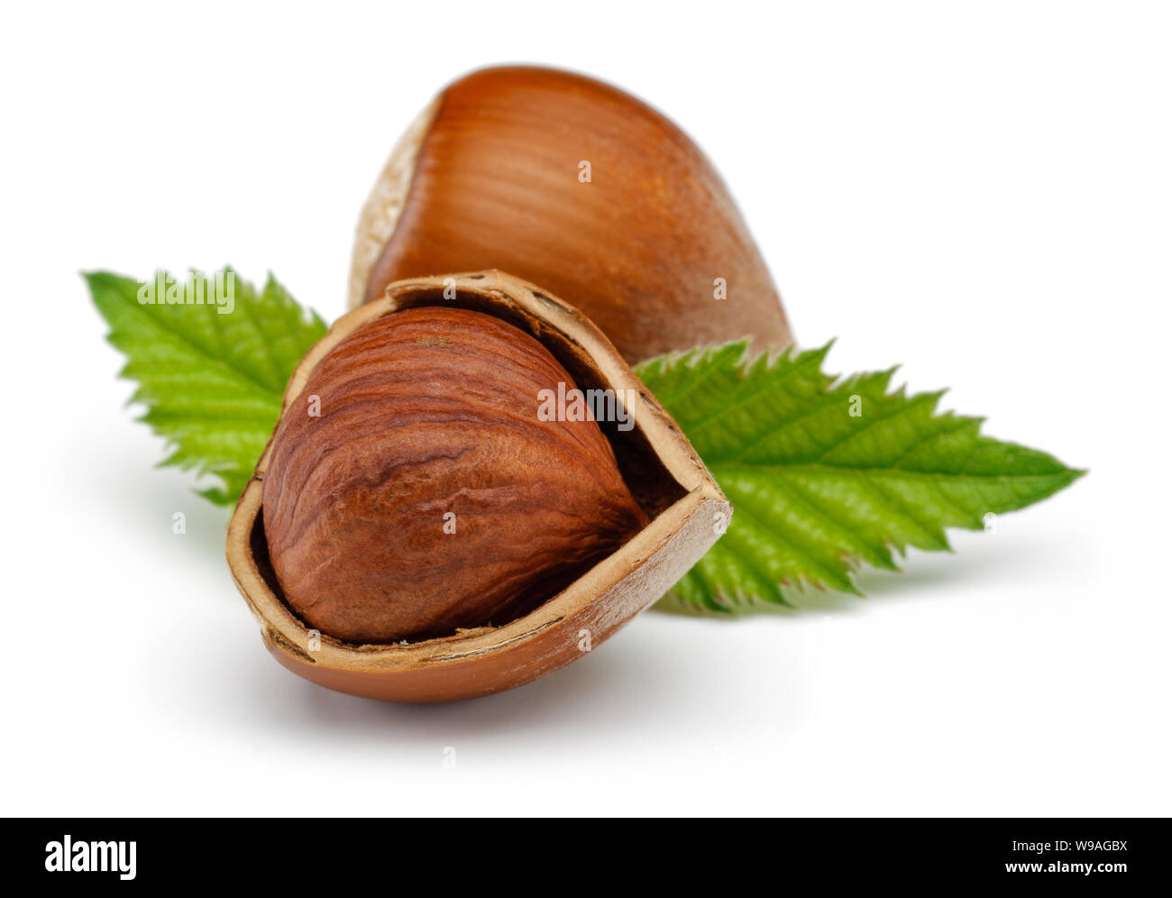 Hazelnuts and leaves isolated on white background Stock Photo - Alamy