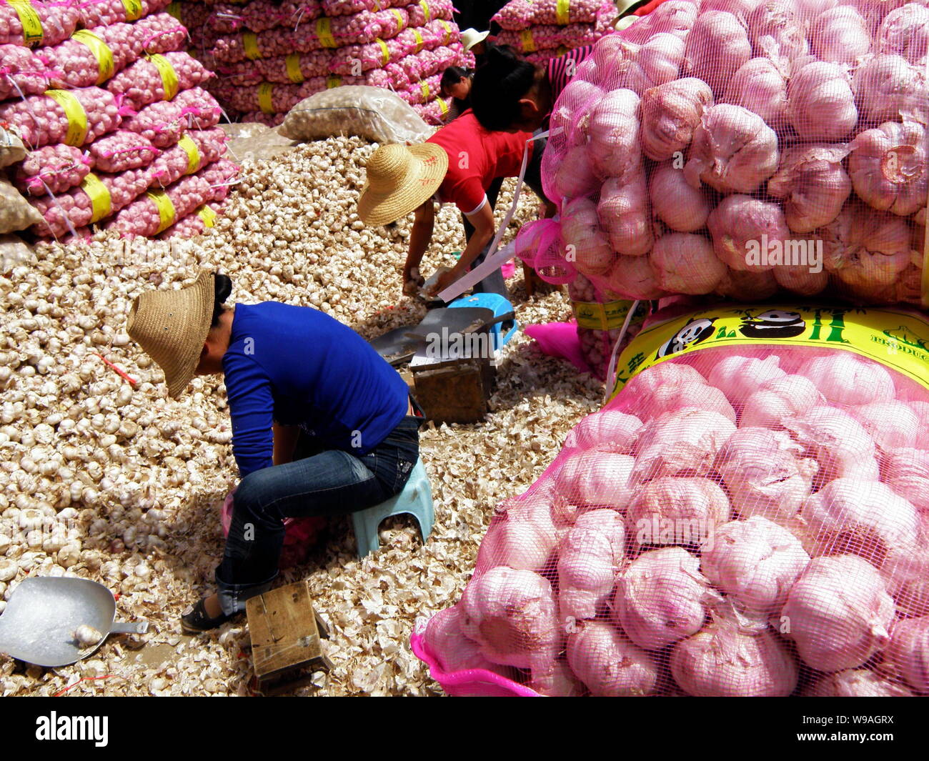 Chinese workers pack garlics at a produce wholesale market in Yichang ...