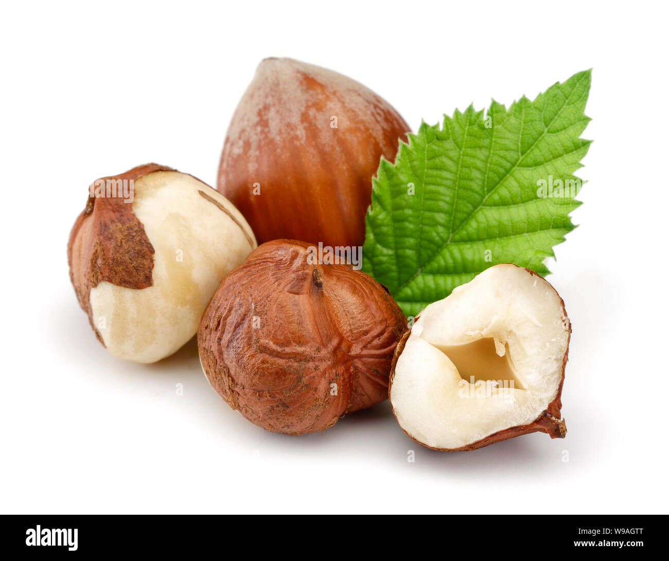 Hazelnuts and leaf isolated on white background Stock Photo - Alamy