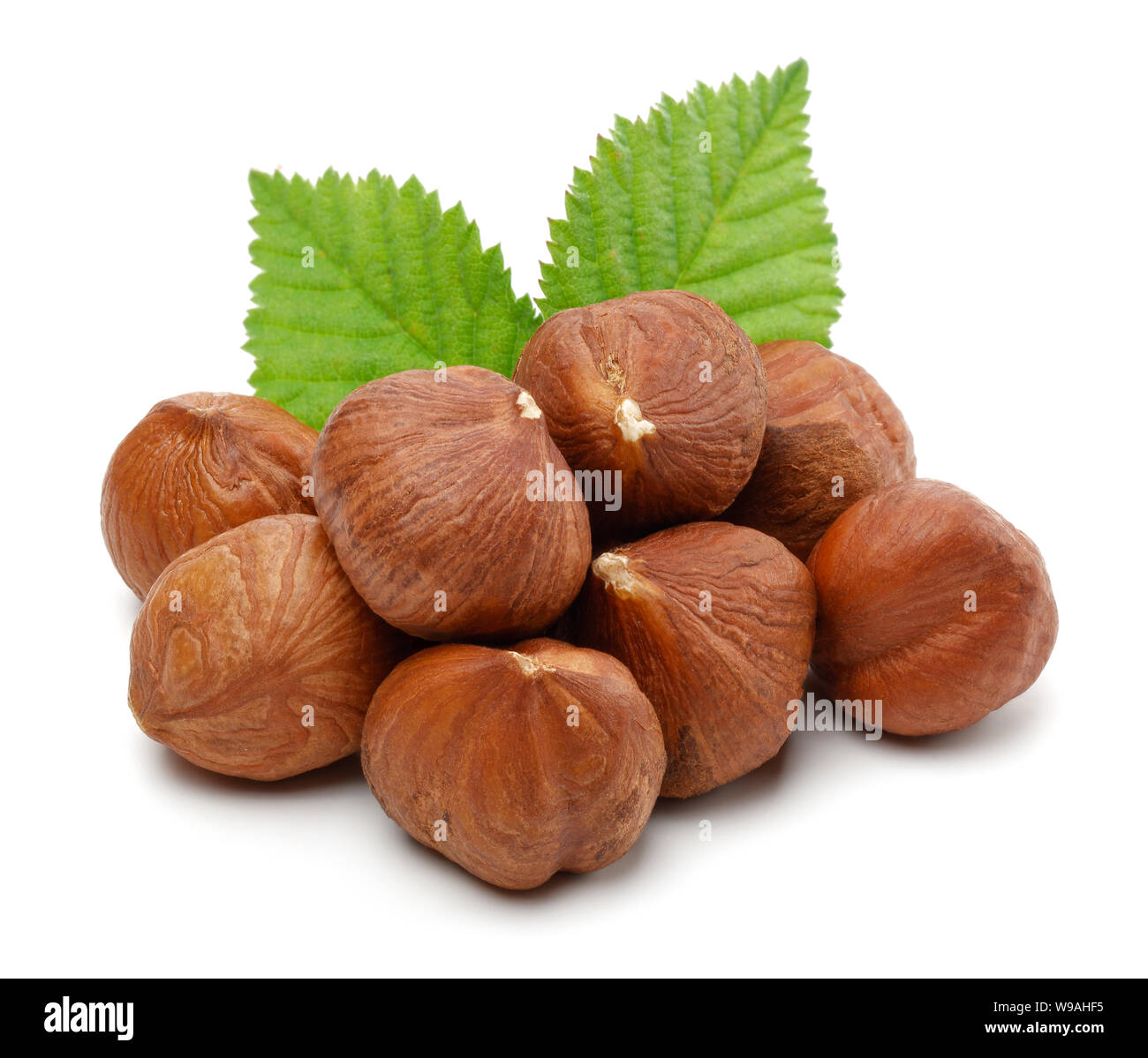 Hazelnuts and leaves isolated on white background Stock Photo - Alamy