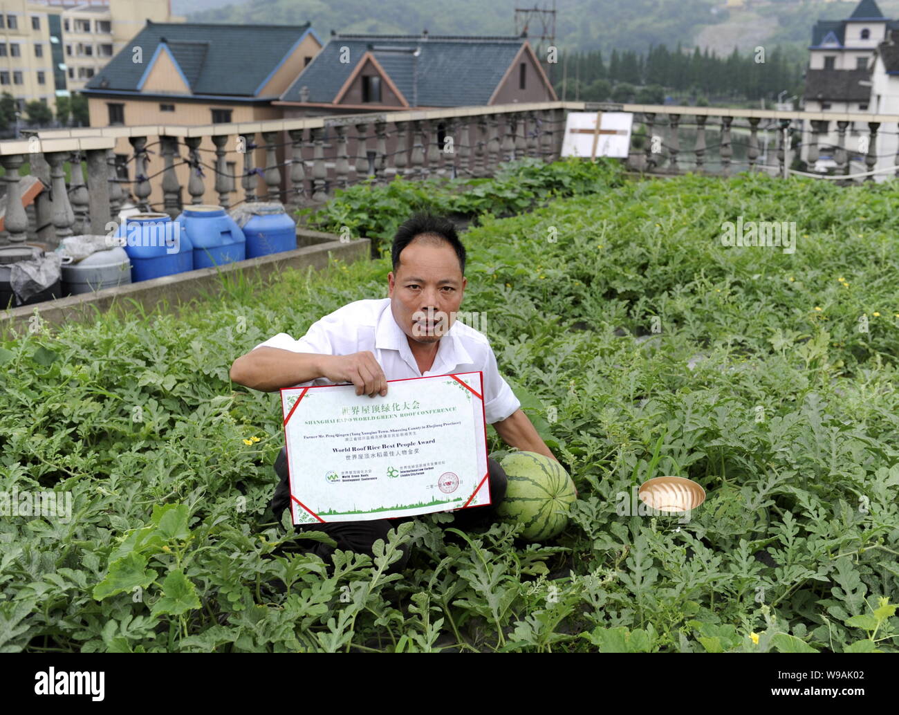 Chinese farmer Peng Qiugen shows the diploma for the World Roof Rice ...