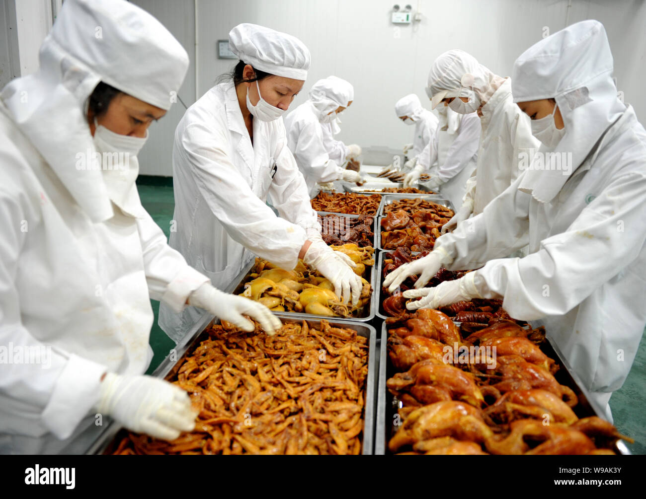 Chinese workers put cooked chicken in plates at the plant of Zhejiang ...