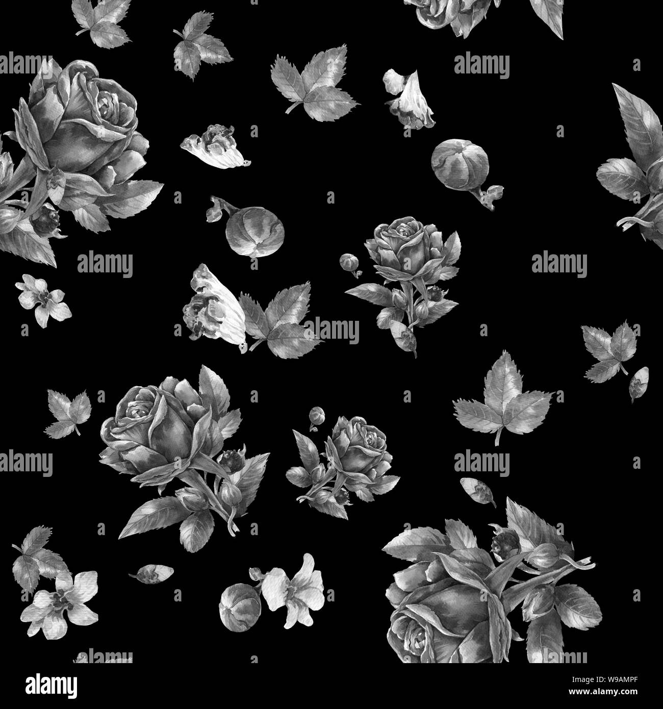 Rose vintage painting Black and White Stock Photos & Images - Alamy