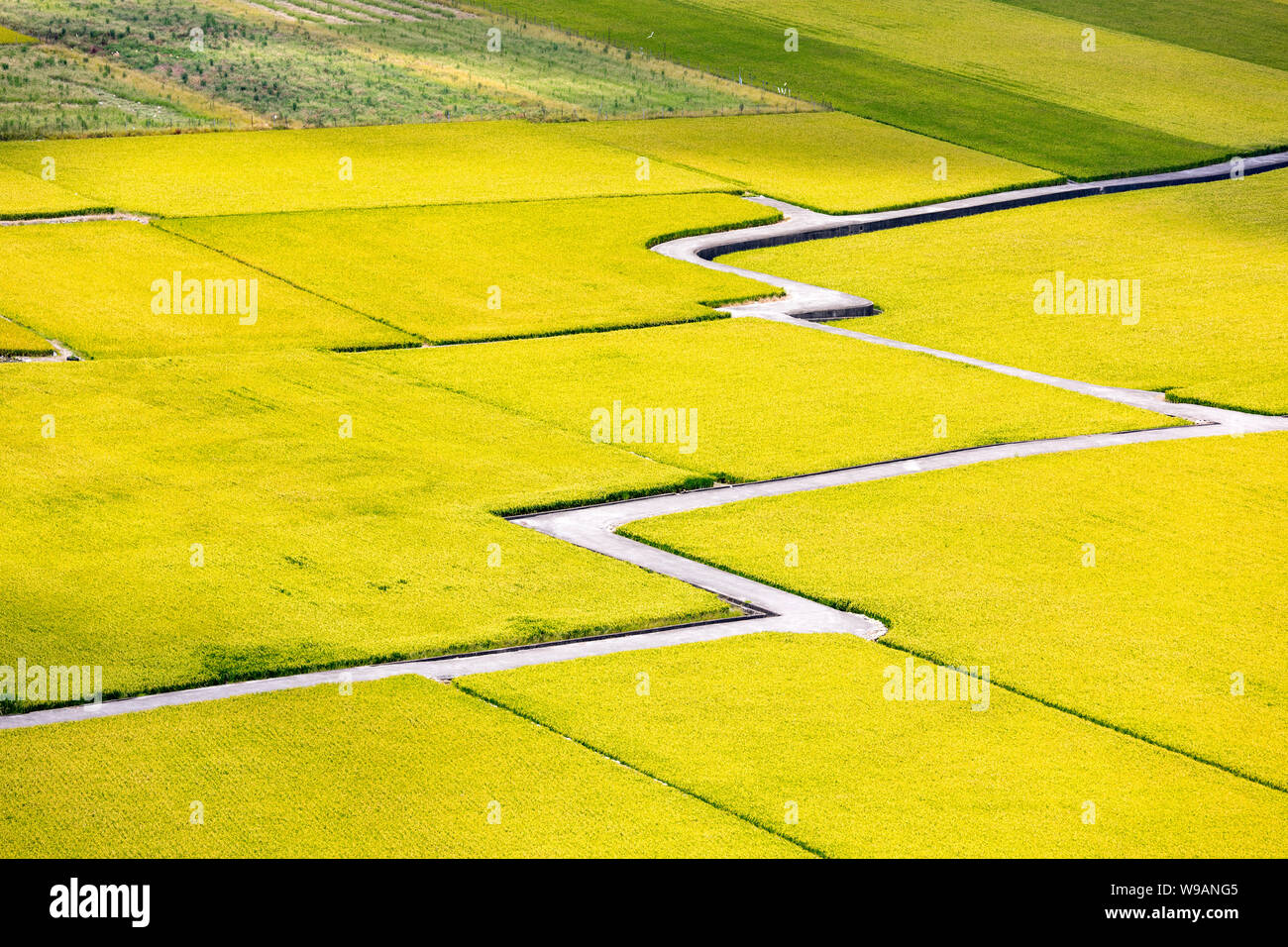 Valley of rice field hi-res stock photography and images - Alamy