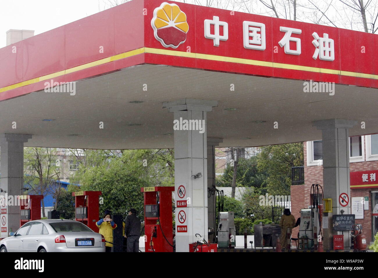 --FILE--View of a gas station of CNPC (China National Petroleum ...