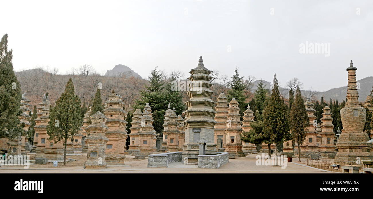 --FILE--View of the Pagoda Forest in the Shaolin Temple on the Songshan ...