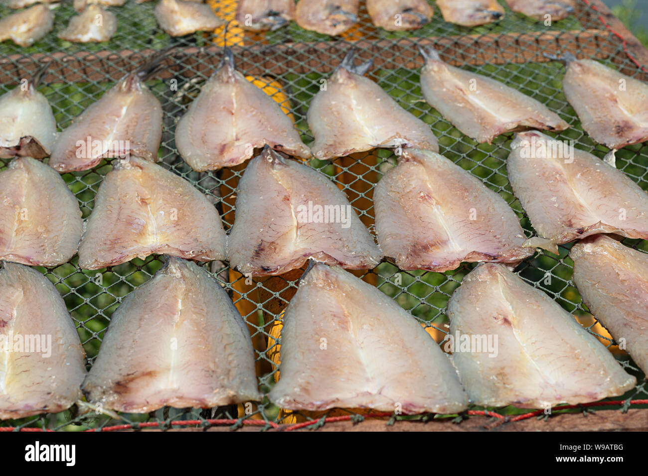 Dried salted fish in the sun On bamboo basket Stock Photo - Alamy