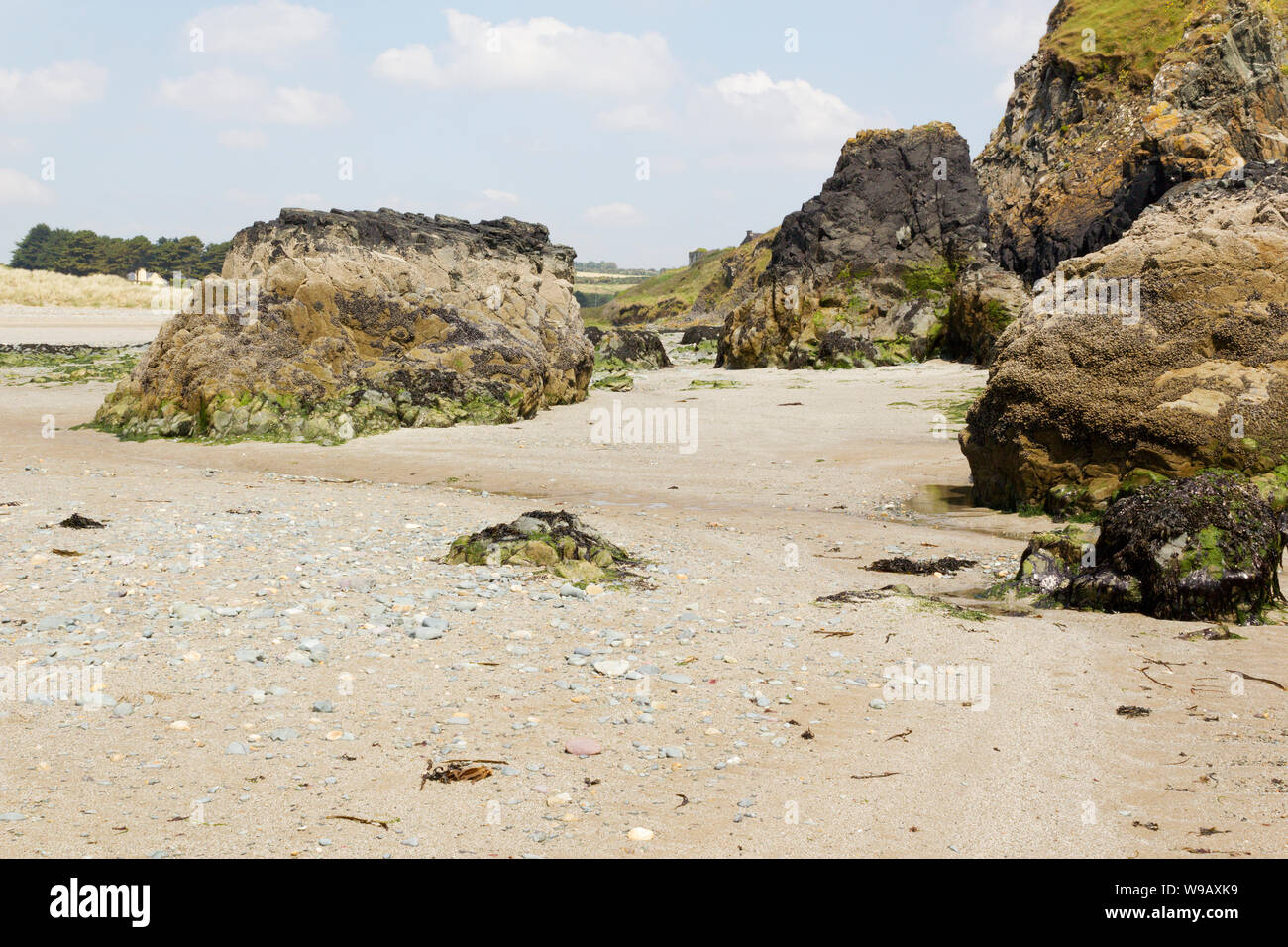Image of a low tide beach on Copper Coast near Bunmahon in County ...