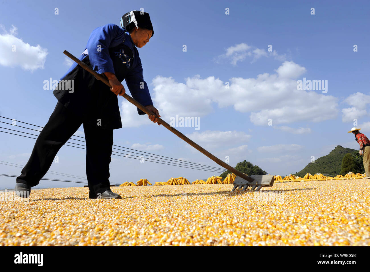 --FILE--Chinese farmers dry corn in Jieshang village, Guiyang city ...