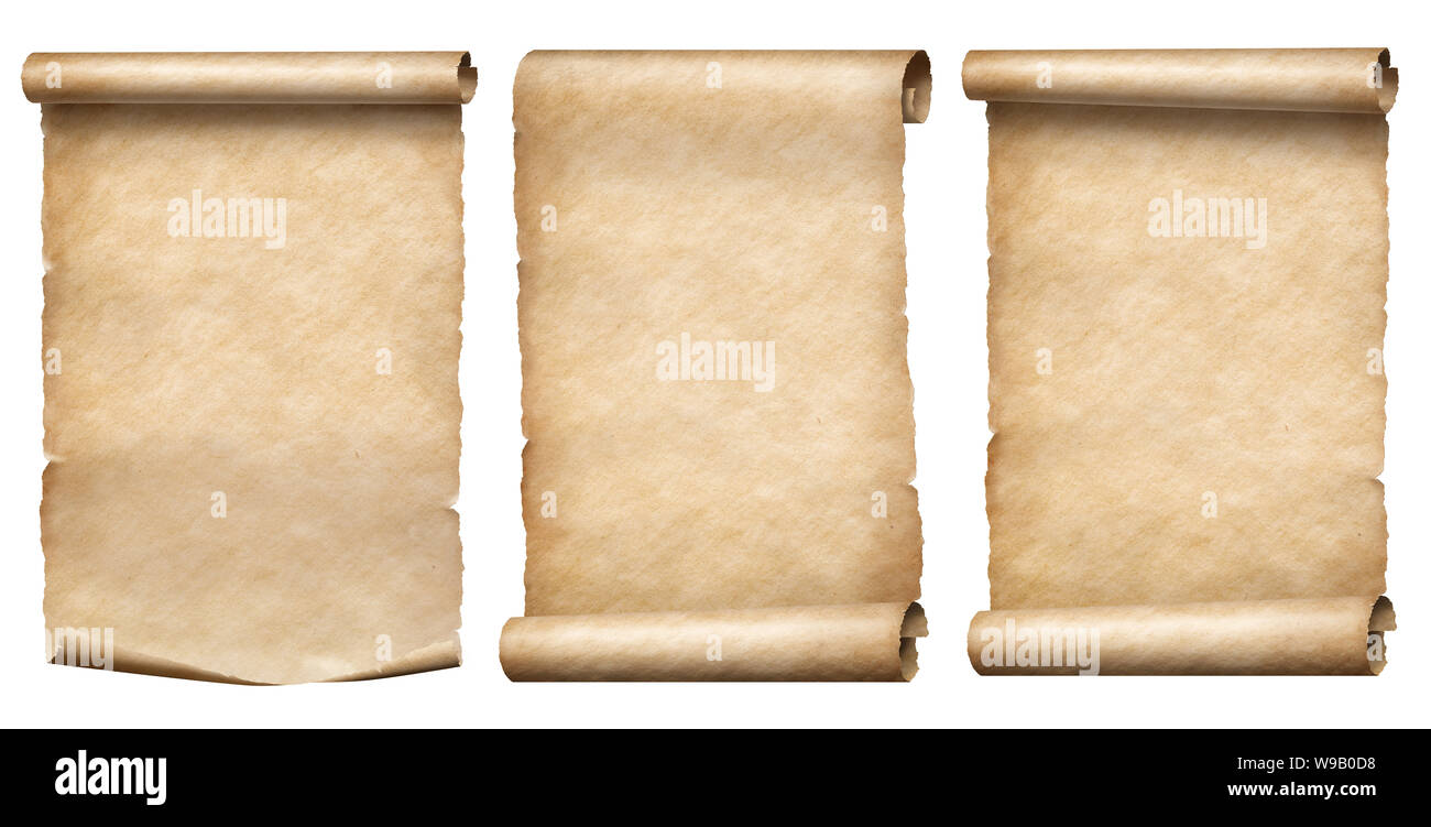 Old paper or parchment scrolls collection isolated on white Stock Photo ...