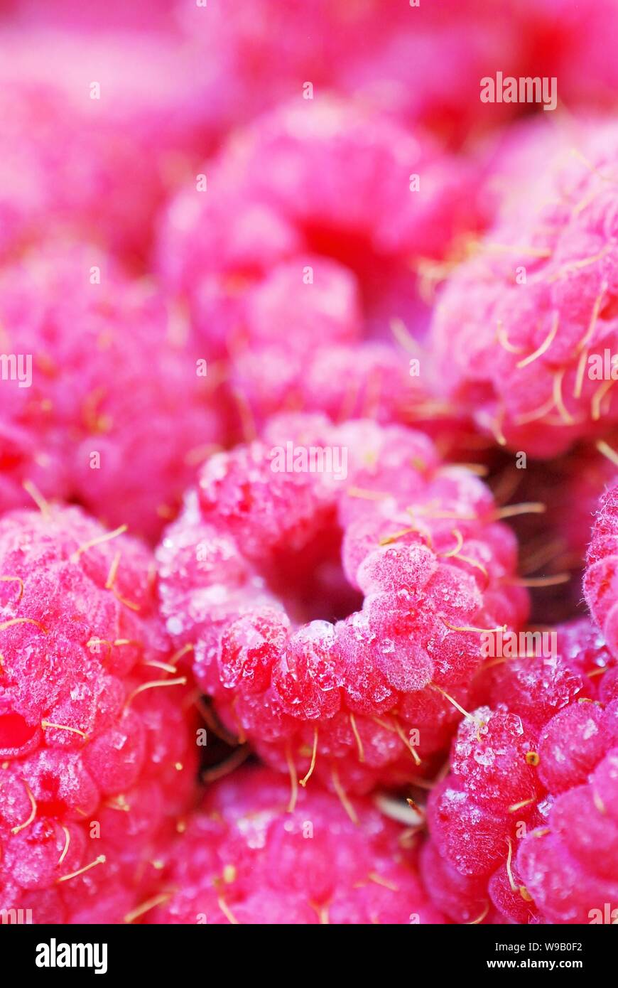 Raspberry fruit close up image of a Stock Photo - Alamy