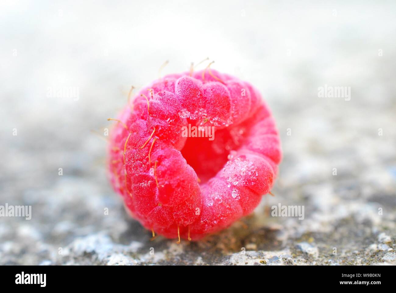 Berry plant component hi-res stock photography and images - Alamy