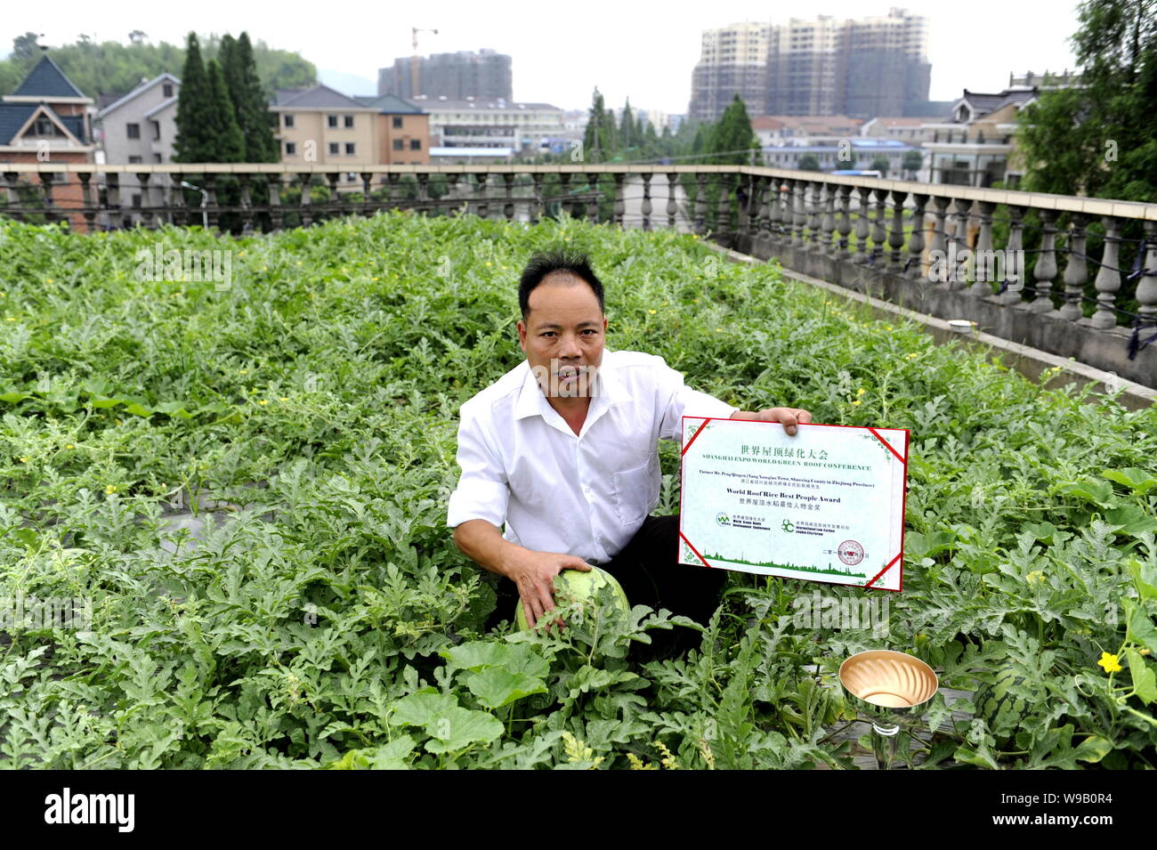Chinese farmer Peng Qiugen shows the diploma for the World Roof Rice ...