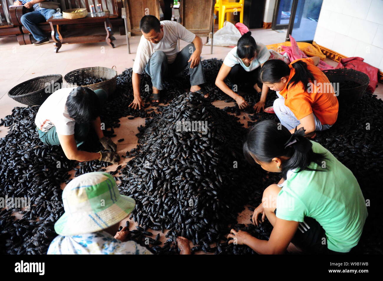 Binglang hi-res stock photography and images - Alamy