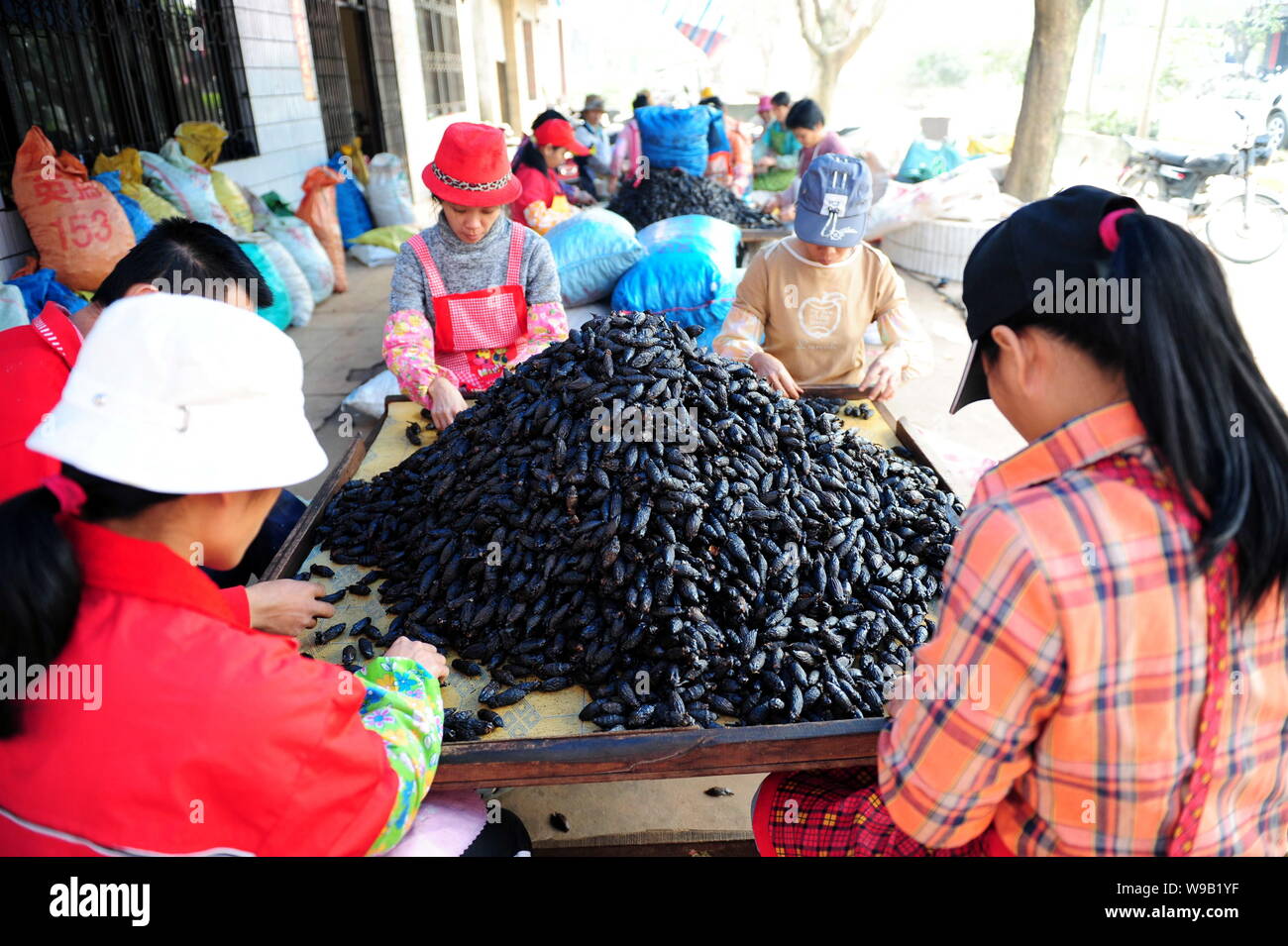 Binglang hi-res stock photography and images - Alamy
