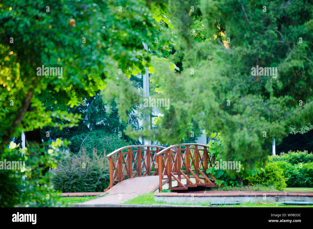 bridge in nature Stock Photo - Alamy