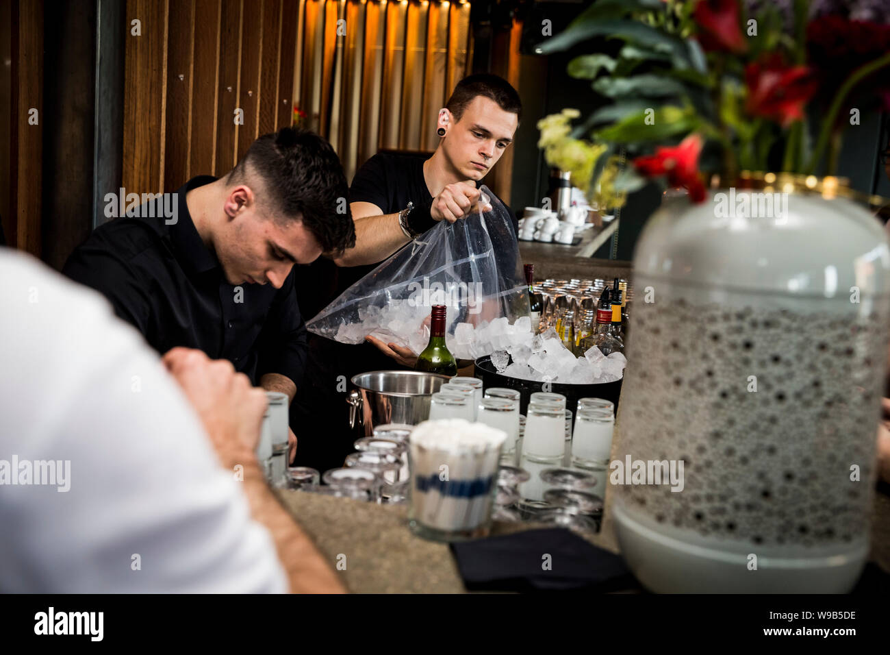 Restocking the ice bucket at the bar at an event at Haus Ungarn in ...