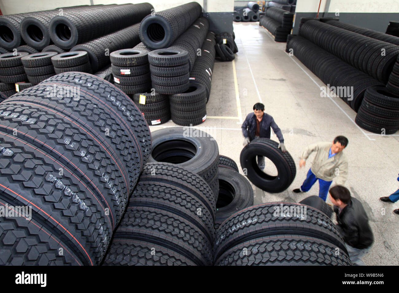 Chinese coin plant hi-res stock photography and images - Alamy