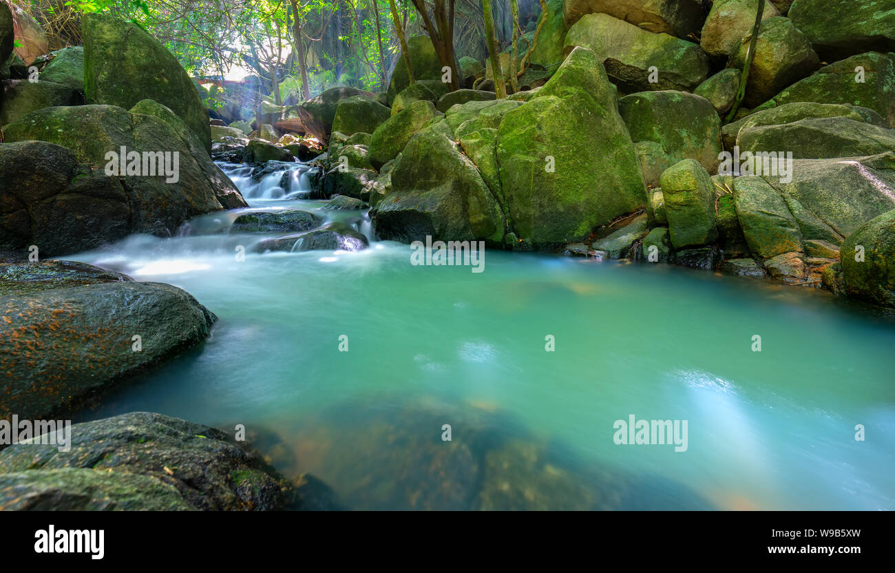 Magical stream in the heart of the green forest on a sunny morning ...
