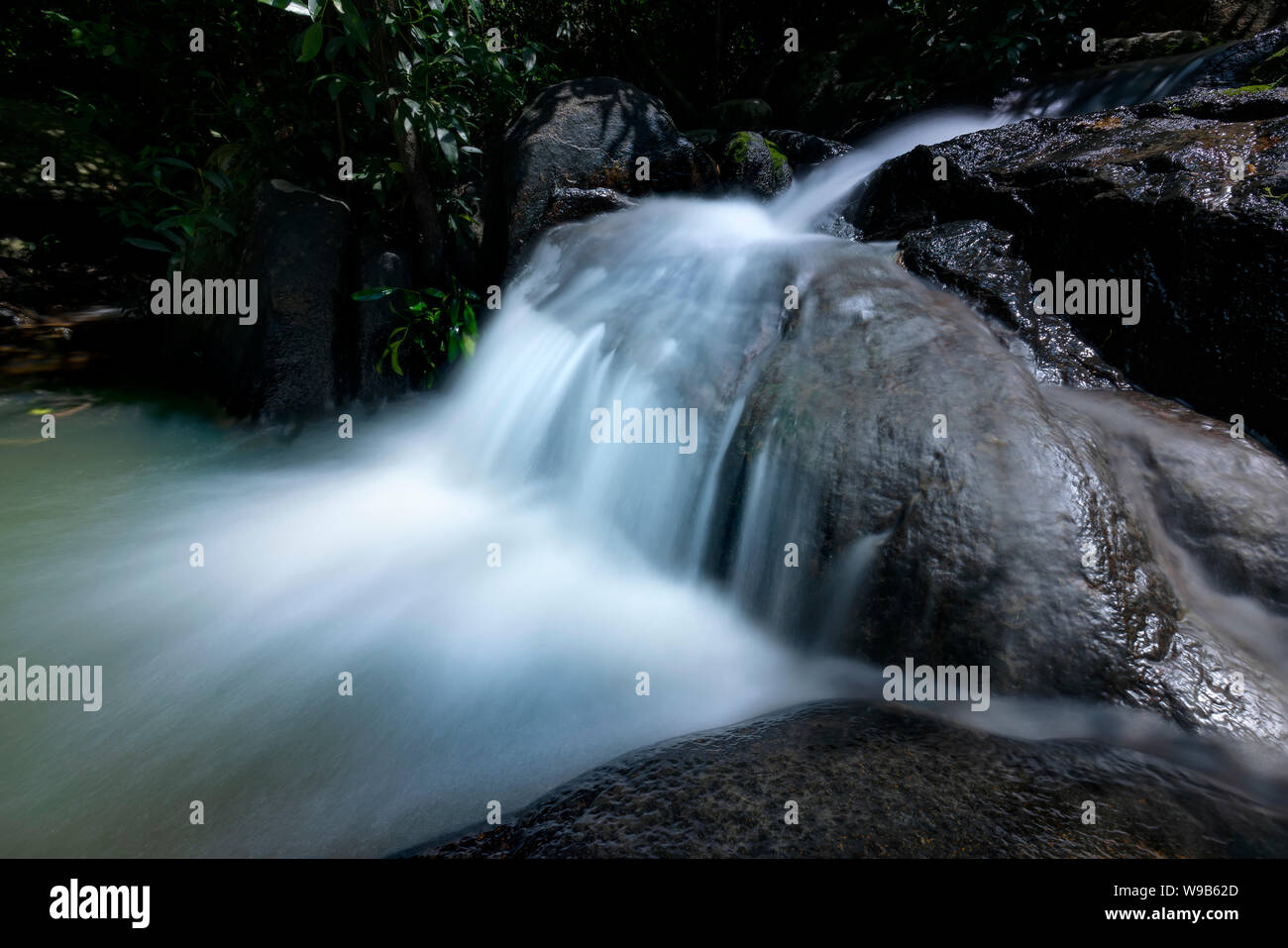 Magical stream in the heart of the green forest on a sunny morning ...