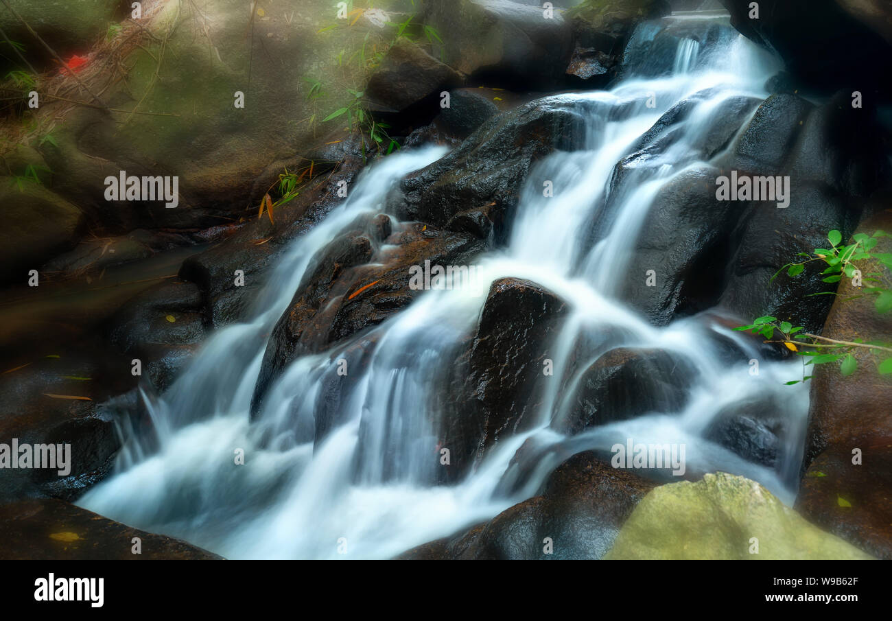 Magical stream in the heart of the green forest on a sunny morning ...