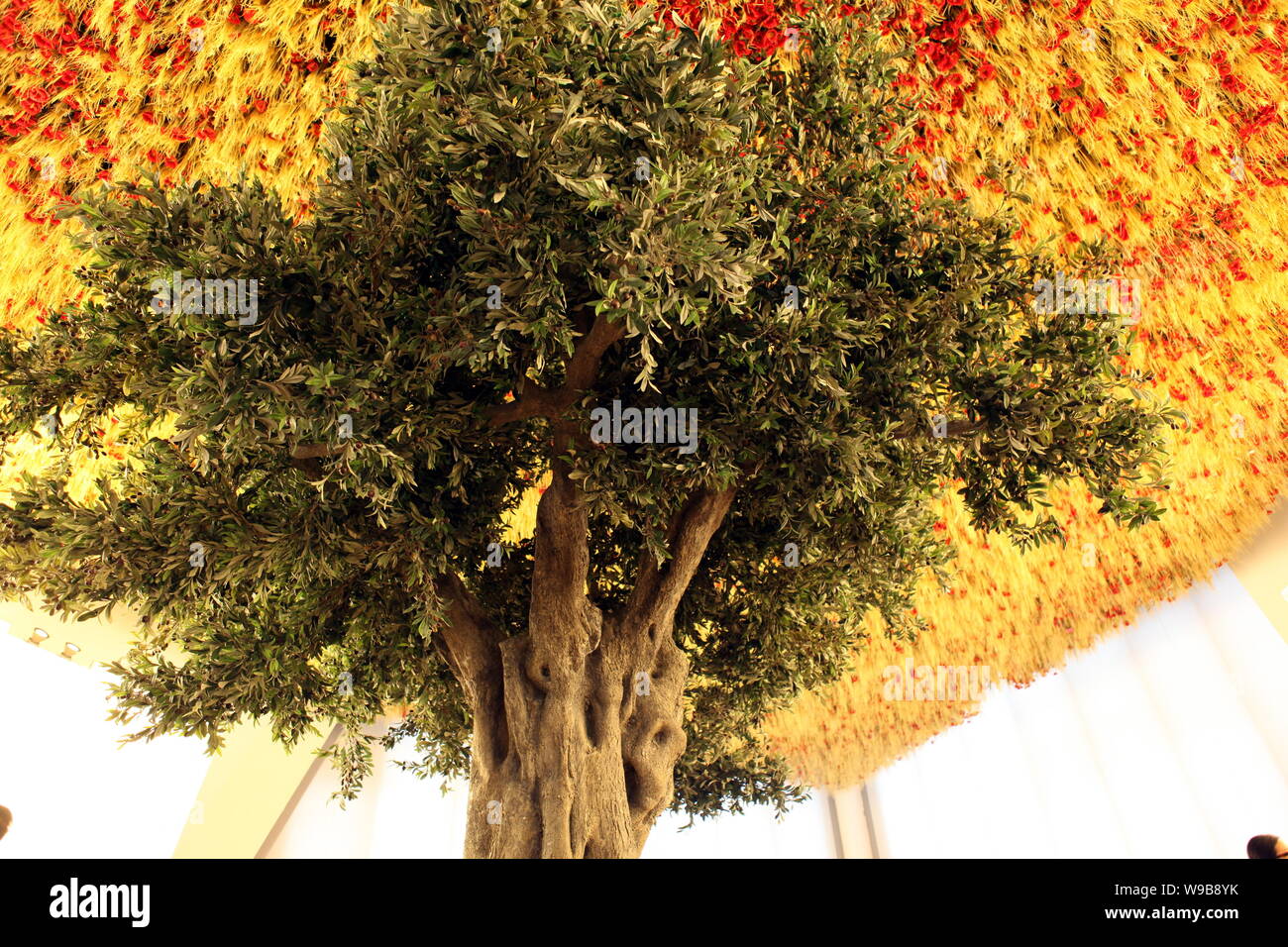 A tree is displayed inside the Italy Pavilion in the Expo site in ...