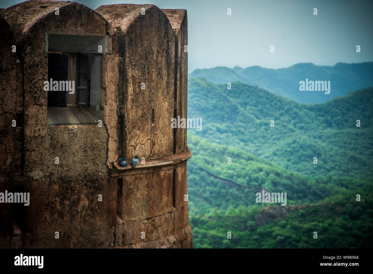pigeon in Jaigarh Fort heritage tourist in jaipur Stock Photo - Alamy