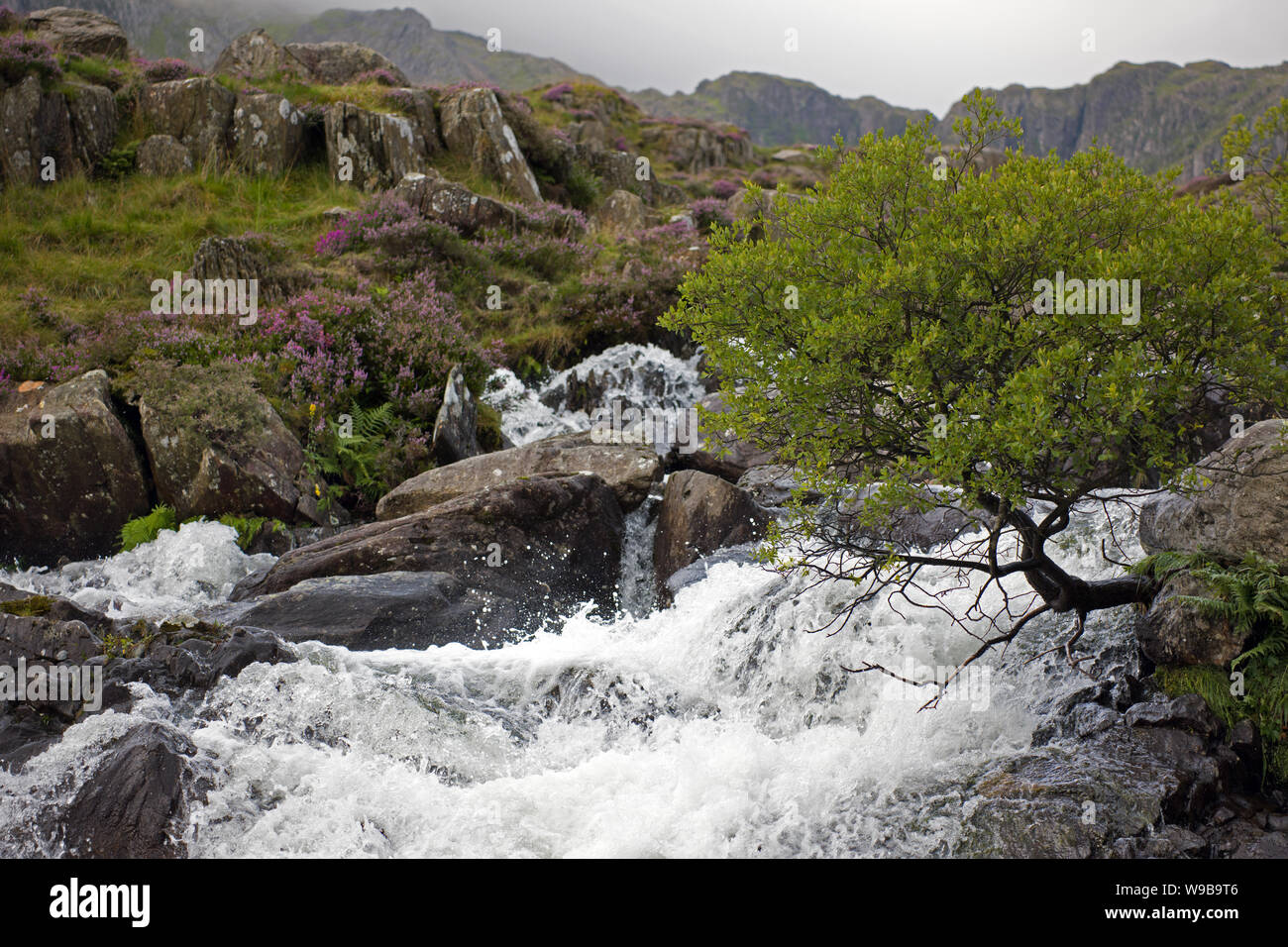 Llyn Idwal Lake, Snowdonia Stock Photos & Llyn Idwal Lake, Snowdonia ...