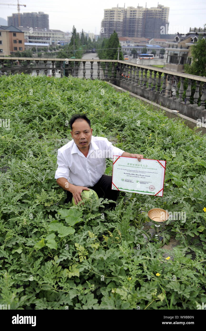 Chinese farmer Peng Qiugen shows the diploma for the World Roof Rice ...